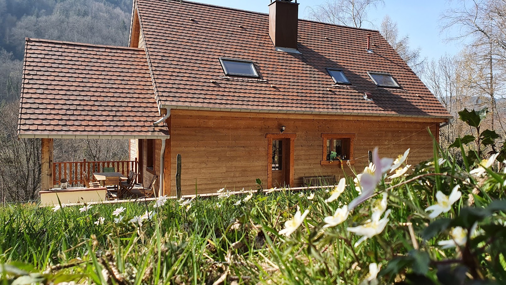 Chalet gîte 10 personnes en location en Alsace à la ferme